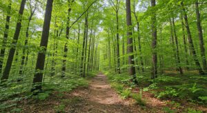 15+ Nashville Trails You'll Want to Hike Again & Again